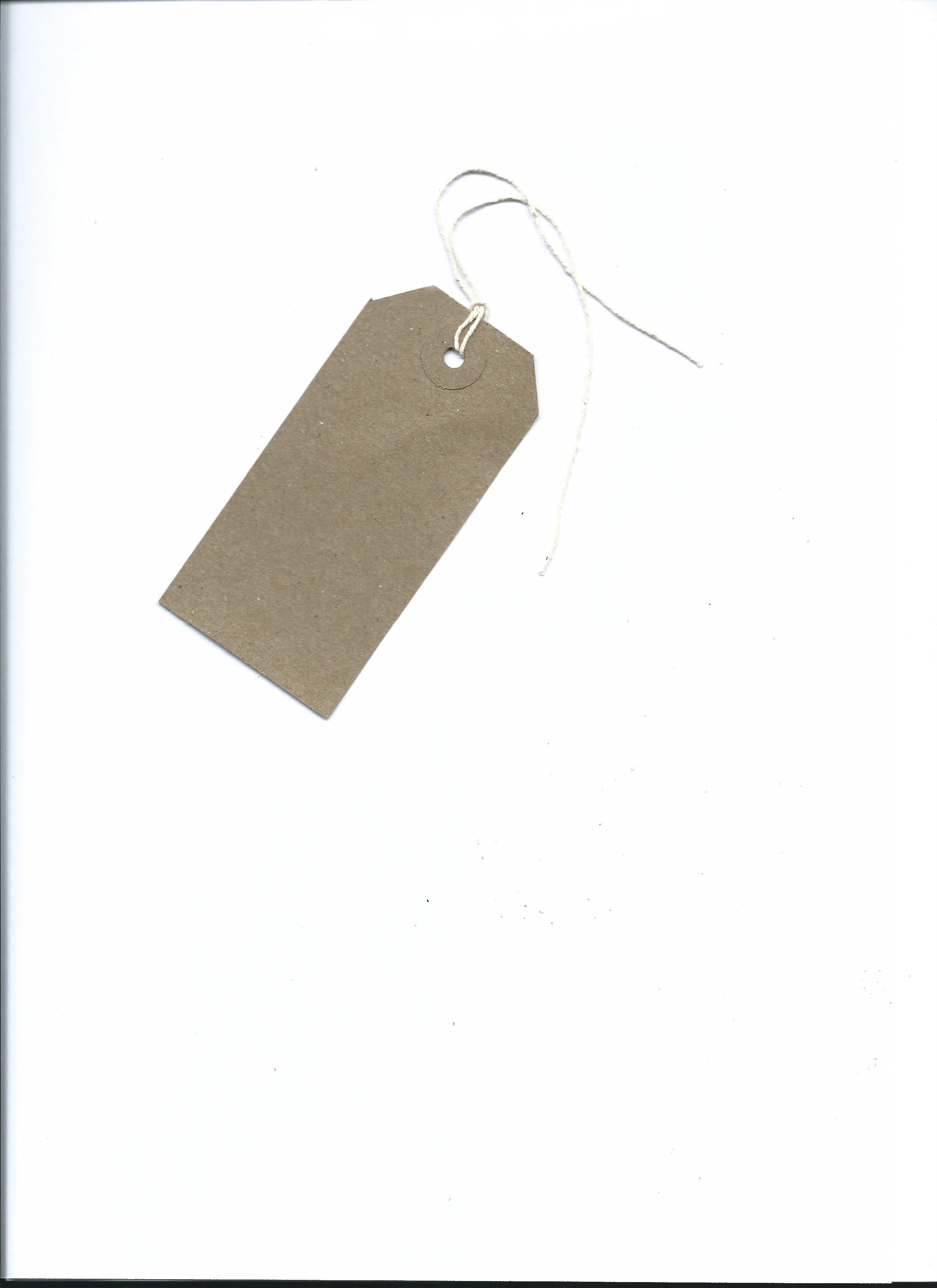 Cardboard Swing Tag 120mm x 60mm – Kingsley Labels